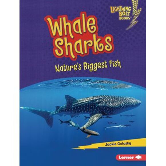 Jackie Golusky | Other | Whale Sharks Natures Biggest Fish Jackie ...